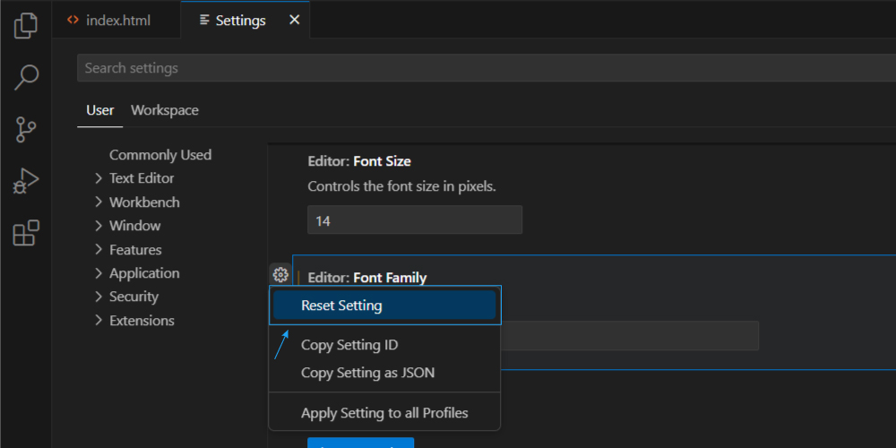 آموزش تغییر فونت VS Code